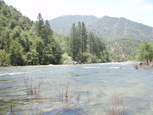 Flow Information for the Kings River