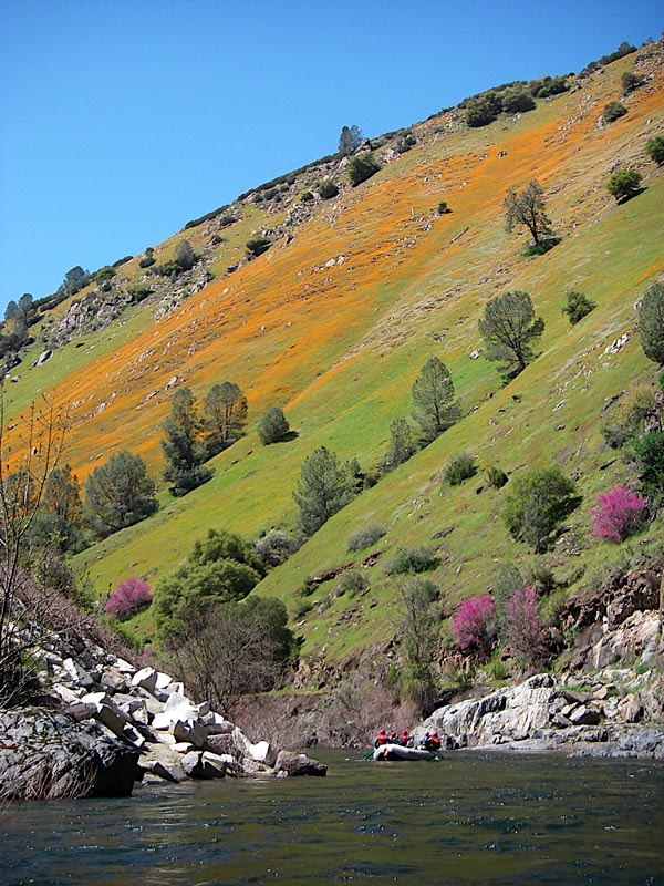 Merced River Whitewater & Scenery